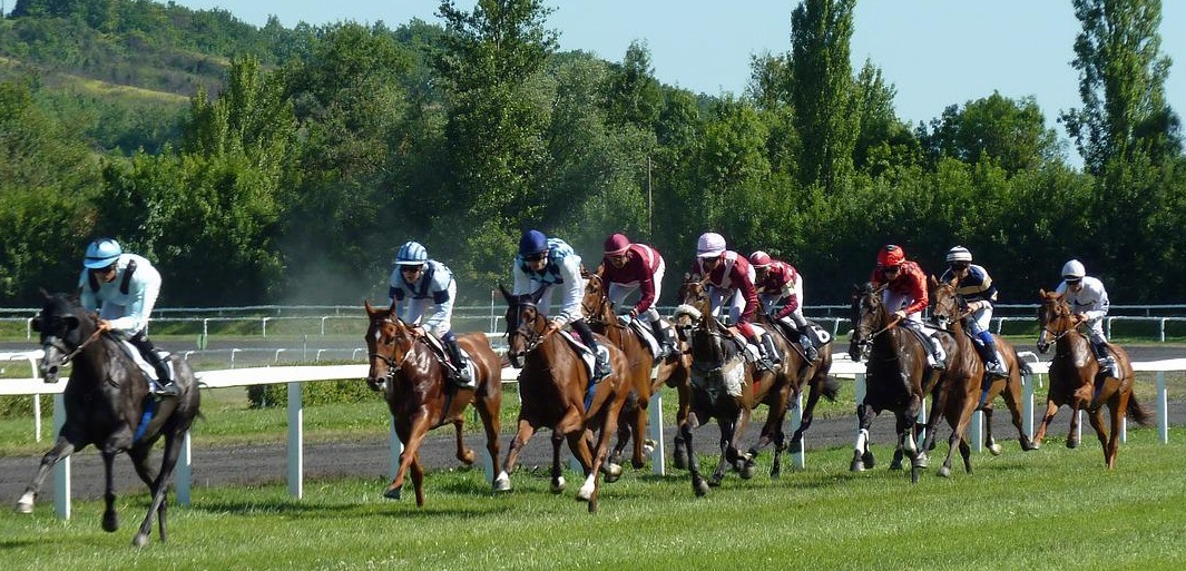 Résiliation d'un abonnement à Paris Turf : Comment faire